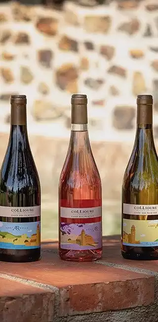 Accueil ‹ Abbé Rous